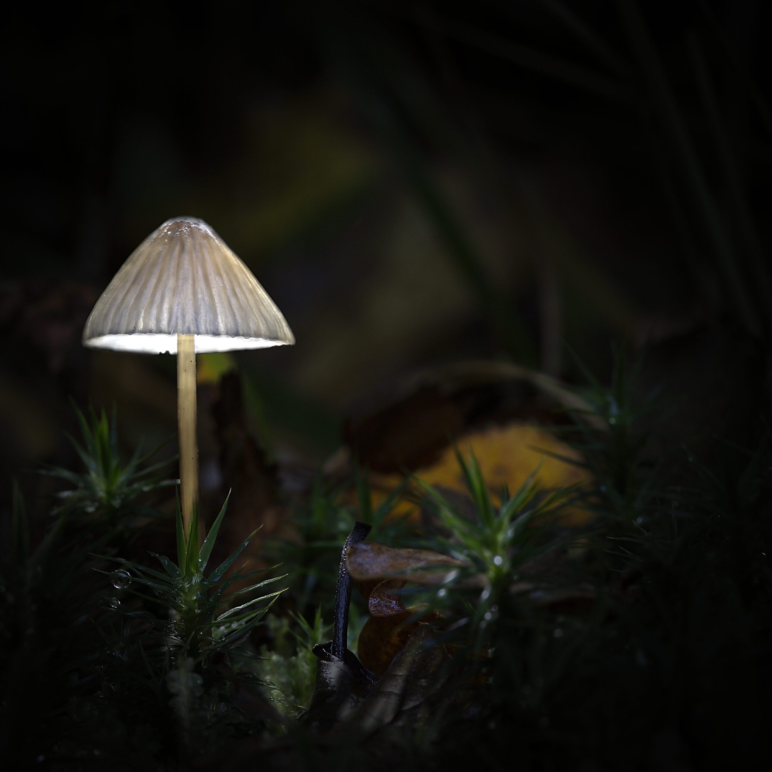 Athena nature photo contest - the results - Athena